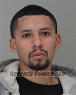Recent Booking / Mugshot for ANGEL SALAZAR in Dallas County, Texas
