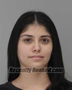 Recent Booking / Mugshot for JANET CASTILLO in Dallas County, Texas