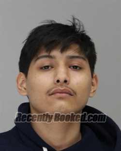 Recent Booking / Mugshot for YANCY GABINO in Dallas County, Texas