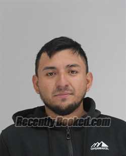 Recent Booking / Mugshot for JOSE HERNANDEZ in Dallas County, Texas