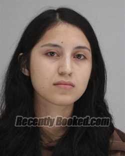 Recent Booking / Mugshot for ANA PORTILLORIVERA in Dallas County, Texas