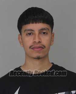 Recent Booking / Mugshot for BRIAN ROSALES in Dallas County, Texas