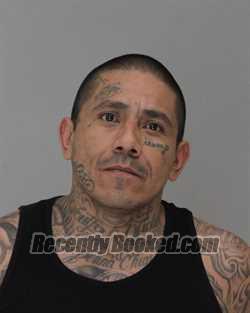 Recent Booking / Mugshot for JOE BERNAL in Dallas County, Texas