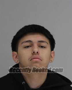 ANTHONY MEJIA Arrest Record & Booking Info – Dallas County, Texas ...