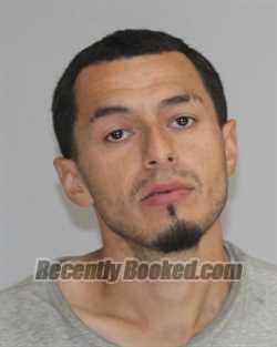 Recent Booking / Mugshot for LUZ ANDRADE in Dallas County, Texas