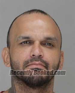 Recent Booking / Mugshot for RENE RAMOS in Dallas County, Texas