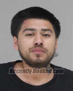 Recent Booking / Mugshot for ANGEL DOMINGUEZ in Dallas County, Texas