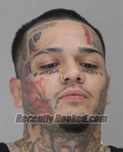 Recent Booking / Mugshot for ALEX PRADO in Dallas County, Texas