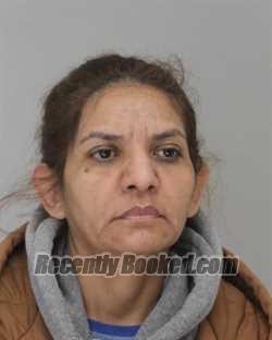 Recent Booking / Mugshot for MARTHA ALFARO in Dallas County, Texas
