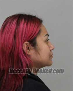 Recent Booking / Mugshot for JESSICA YANEZ in Dallas County, Texas