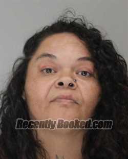 Recent Booking / Mugshot for PAULA GARZA in Dallas County, Texas