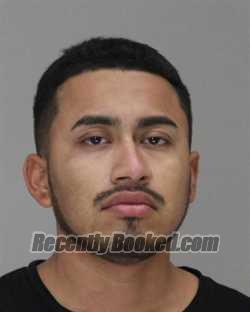 Recent Booking / Mugshot for DAVID RUIZ-ALVIZO in Dallas County, Texas