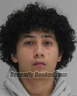 Recent Booking / Mugshot for BRYAN CARREON in Dallas County, Texas