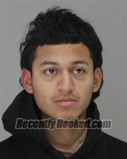 Recent Booking / Mugshot for LUIS RAMIREZ in Dallas County, Texas
