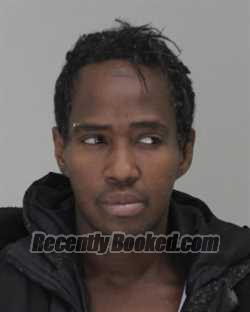 Recent Booking / Mugshot for APRIL ROBERSON in Dallas County, Texas