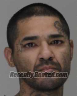 Recent Booking / Mugshot for ADAM AGUERO in Dallas County, Texas