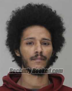 Recent Booking / Mugshot for LVAUNDRIK LEE in Dallas County, Texas