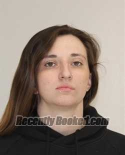 Recent Booking / Mugshot for MICHELLE MORTENSON in Dallas County, Texas