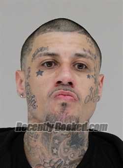 Recent Booking / Mugshot for OSCAR ROCHA in Dallas County, Texas