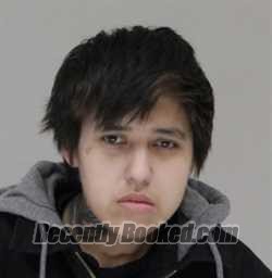 Recent Booking / Mugshot for ANGELINE RODRIGUEZ in Dallas County, Texas