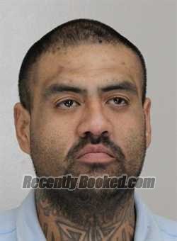 Recent Booking / Mugshot for EDWIN ESTRADA in Dallas County, Texas