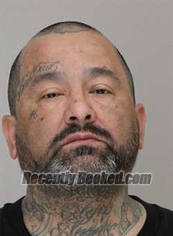 Recent Booking / Mugshot for ANDREW SEGURA in Dallas County, Texas