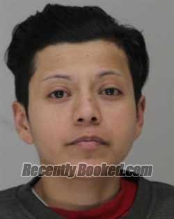 Recent Booking / Mugshot for IRIS MENA in Dallas County, Texas