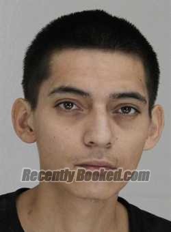 Recent Booking / Mugshot for MIGUEL RODRIGUEZ in Dallas County, Texas