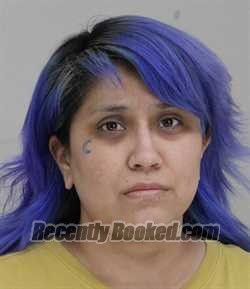 ALEJANDRA RANGEL Arrest Record & Booking Info – Dallas County, Texas ...