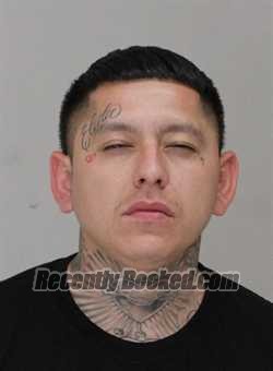 Recent Booking / Mugshot for ERIC CASTILLO in Dallas County, Texas