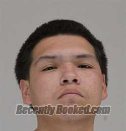 Recent Booking / Mugshot for LOUIS RICKER in Dallas County, Texas