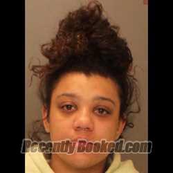 Recent Booking / Mugshot for Destiny Nicole King in York County ...