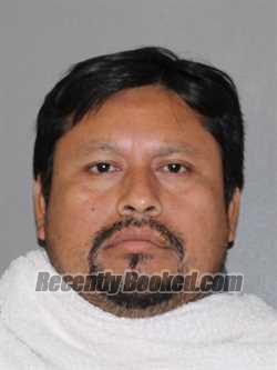 Recent Booking / Mugshot for Jose D Yax Vasquez in Denton County, Texas