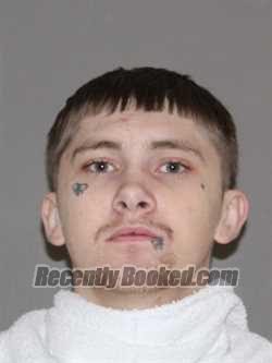 Recent Booking / Mugshot for Layne G Hopper in Denton County, Texas