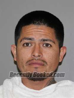 Recent Booking / Mugshot for Andres Trejo in Denton County, Texas