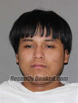 Recent Booking / Mugshot for Nelson Fabiandiaz in Denton County, Texas