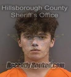 Recent Booking / Mugshot for DILLON SECOR in Hillsborough County, Florida