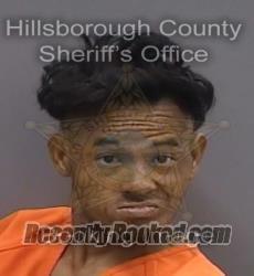 Recent Booking / Mugshot for DYLAN LAOS SAEUNG in Hillsborough County ...