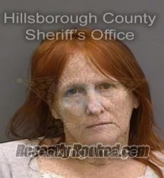 Recent Booking / Mugshot for SUSAN ANN CAMP in Hillsborough County, Florida