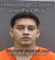 Recent Booking / Mugshot for JULIAN JR BOTELLO in Hillsborough County ...