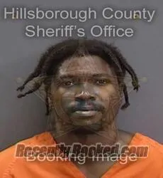 Nicholas Akeem Alexander Richards Arrest & Booking Info | Hillsborough ...