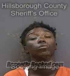 Recent Booking / Mugshot for KAYLA NIKEL ROPER in Hillsborough County ...