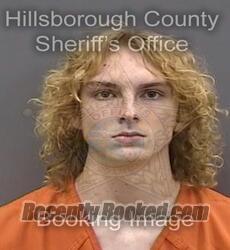 Recent Booking / Mugshot for LANDYN COLE COVEYOU in Hillsborough County ...