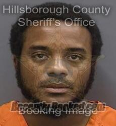 Recent Booking / Mugshot for ZERAN DANIEL PERRY in Hillsborough County ...
