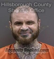 Recent Booking / Mugshot for AARON WIELAND in Hillsborough County, Florida