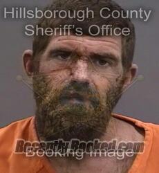 Recent Booking / Mugshot for JAYSON MICHAEL RAPPA in Hillsborough ...