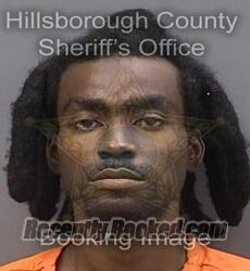 Recent Booking / Mugshot for JORDAN MICHAEL MORRELL in Hillsborough ...