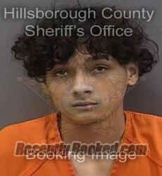 Recent Booking / Mugshot for JACOB YAMIL RODRIGUEZ in Hillsborough ...