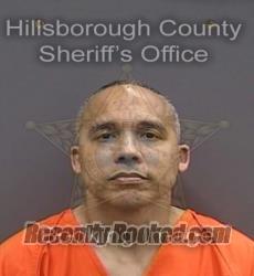 Recent Booking / Mugshot for JOSE REYES in Hillsborough County, Florida