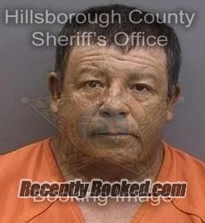 Recent Booking / Mugshot for ENRIQUE ORTIZ MAGANA in Hillsborough County, Florida